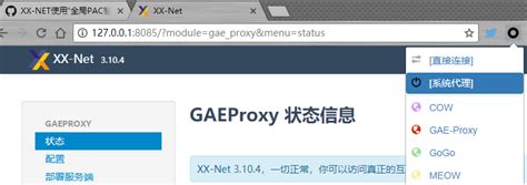 Xx Net使用“全局pac智能代理”不能科学上网，网上查了很久都不能解决 · Issue 9881 · Xx Netxx Net