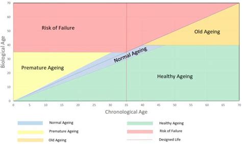 taim the transformer age index model dr nad moodley preng posted on