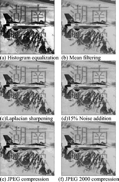 robustness against common attacks a histogram equalization b 3 × 3