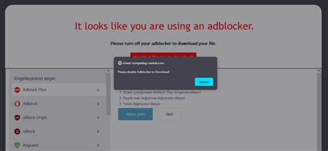 Cloud Computing Detection · Issue 15670 · Ublockorigin