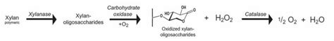 Raw Calorimetric Data For The Measurement Of The Reaction Rate For The