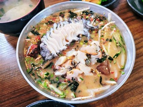 서귀포 제주도민 맛집 휴애리 자연생활공원 근처 공천포식당 다양한 물회와 고등어구이 솔직후기 네이버 블로그