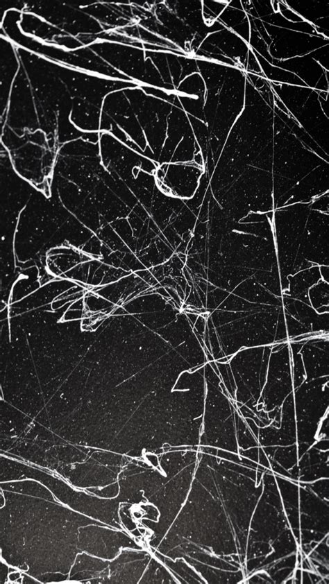 Papel De Parede Para Celular Op Es Bonitas E Poderosas