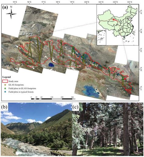 Sustainability Free Full Text A Comparative Analysis Of Remote Sensing Estimation Of