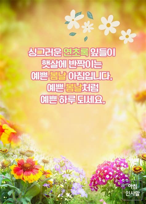 좋은글 감동글 명언이야기 싱그러운 연초록 잎들이 햇살에 반짝이는 예쁜 봄날 아침입니다 예쁜 봄날처럼 예쁜 하루 되세요 아침인사말 Bitly