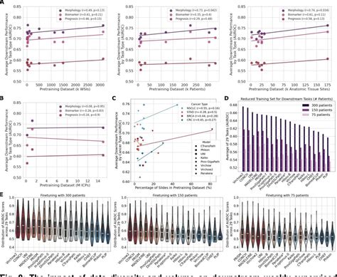Figure From Benchmarking Foundation Models As Feature Extractors For Weakly Supervised