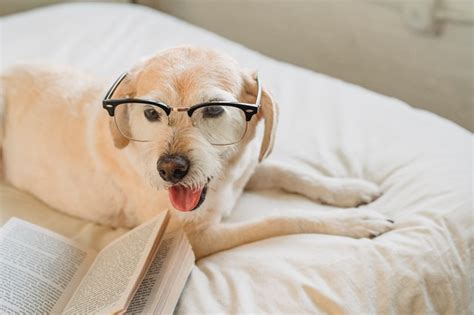 Six Characteristics Of Good Docs Daryls Thoughts On Technical Writing
