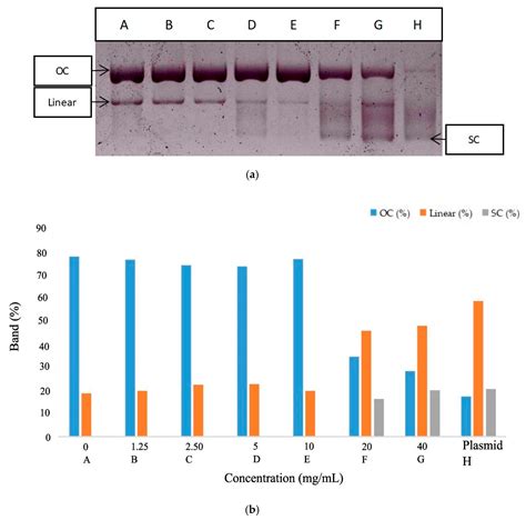 Phytochemical Analysis Antimutagenic And Antiviral Activity Of Moringa Oleifera L Leaf