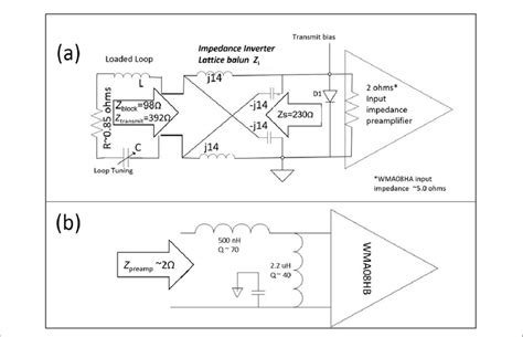 A Simplified Schematic And Typical Values Describing Impedance Download Scientific Diagram