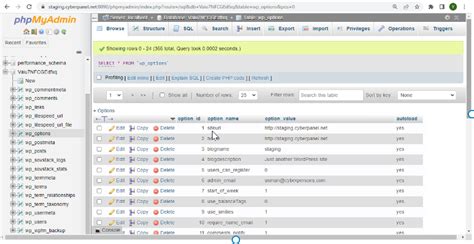 how to clean and optimize your wp options table and autoloaded data