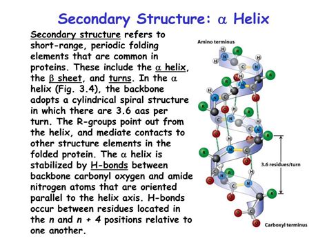 Ppt Chap 3 Protein Structure And Function Powerpoint Presentation Id