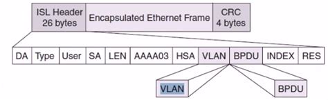 Understanding Vlans In Switching Worldmustbegeek