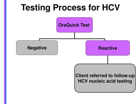 PPT OraQuick HCV Rapid Test How To Run The Test PowerPoint Presentation ID 7104964