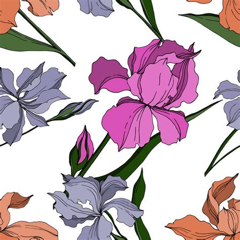 Безкоштовні стокові векторні зображення для виняткових графічних дизайнів Vistacreate