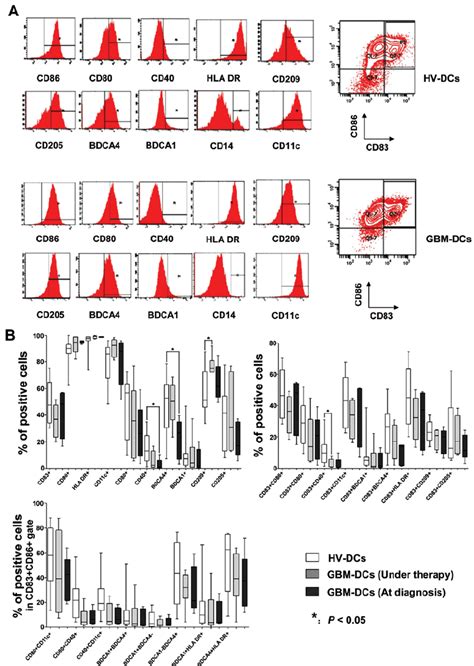 Immunophenotype Analyses Of Hv Dcs In Comparison To Gbm Dcs Mature Dcs Download Scientific
