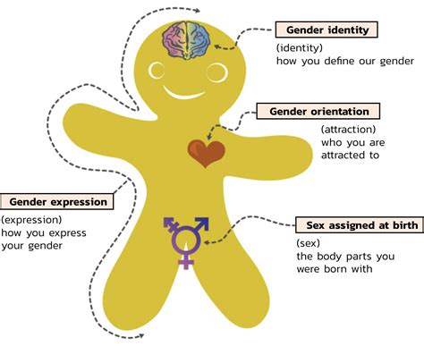Genderbread Person Better To Know