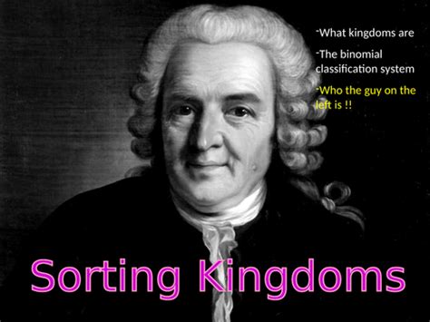 Classification A Complete Set Of Resources For Year 7 Teaching Resources