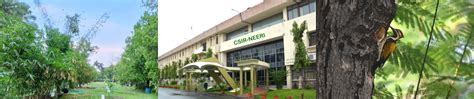 Csir Neeri Delhi Zonal Center The Official Website Of Csir National Environmental Engineering