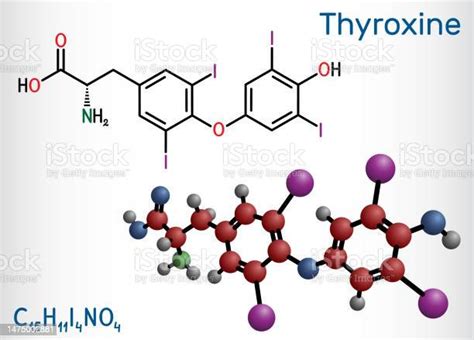 티록신 T4 레보 티록신 분자 갑상선 호르몬 갑상선 기능 저하증 치료에 사용되는 티로닌 T3의 프로 호르몬입니다 구조 화학식