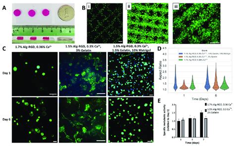 three dimensional bio printing optimization of cardiac patch core a download scientific