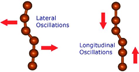 Schematic Representation Of The Lateral And Longitudinal Oscillations