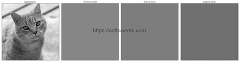 Operasi Wavelet Dengan Tensor Pytorch Softscients