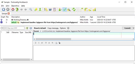 Access Version Control A Quick Start Guide