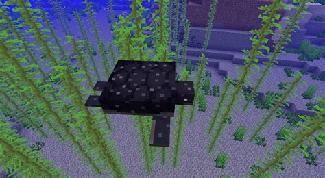 Turtle Minecraft Texture Pack Turtle Minecraft Texture Pack