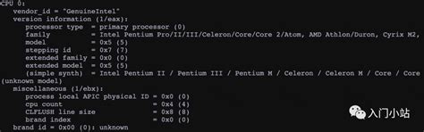 如何在linux系统中查看intel core i3、i5、amd等cpu品牌信息及详细参数 linux命令大全 手册
