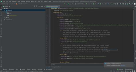 Multiple Errors In Androidappsrcmainandroidmanifestxml · Issue
