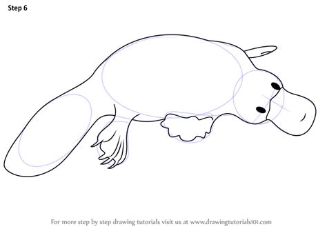 How To Draw Platypus Step By Step