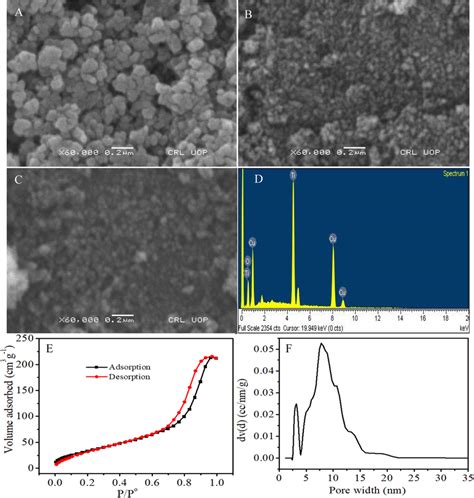 A Sem Image Of The Synthesized Cuo Nps B Tio2 Templated By Ctab C