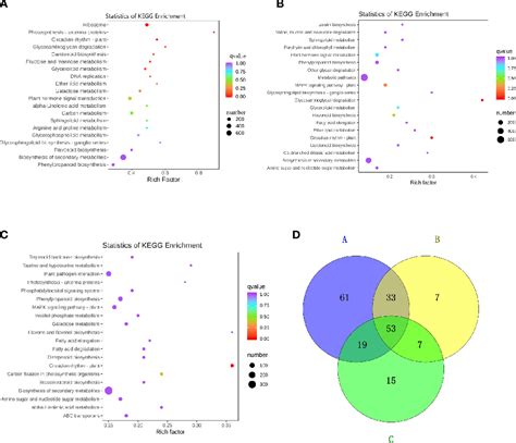 Figure 4 From Transcriptome And Metabolome Analysis Of Flavonol Synthesis In Apricot Fruits