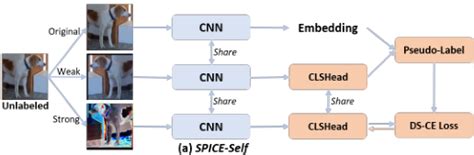 spice semantic pseudo labeling for image clustering（用于图像聚类的语义伪标记） csdn博客