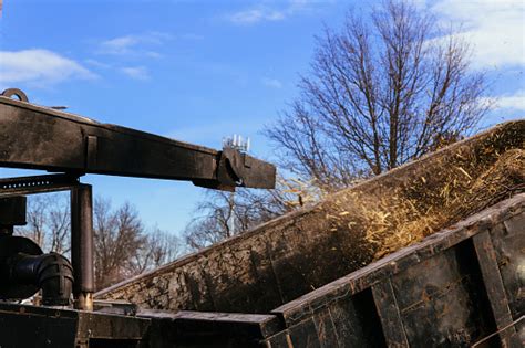 정원사를 제거 하 고 전기 톱을 운반 분쇄기 기계를 사용 하 여 나무 가지 갈기갈기 찢어진에 대한 스톡 사진 및 기타 이미지 갈기갈기 찢어진 그라인더 산업 장비