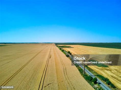 Pemandangan Drone Udara Di Atas Jalan Dan Ladang Gandum Di Timis Rumania Foto Stok Unduh