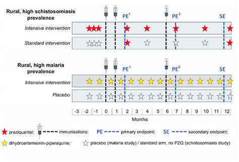 Outline Of Immunisations And Interventions 1 Primary Endpoints Will Be