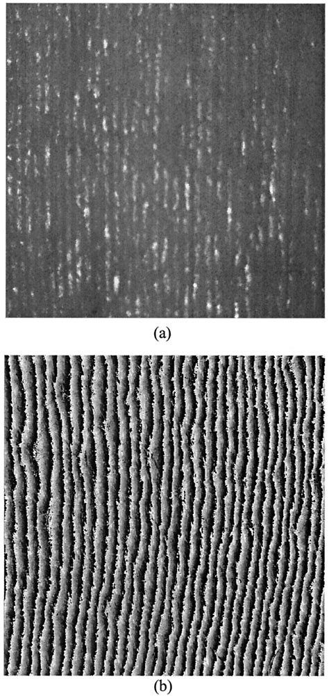 Experimental Images Obtained From A 3d Shape Measurement System By Download Scientific Diagram