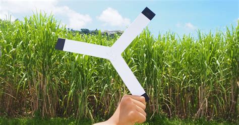 驚くほど飛ぶペーパーブーメランを作ろう 自作・diy 【be Pal】キャンプ、アウトドア、自然派生活の情報源ビーパル ビーパル