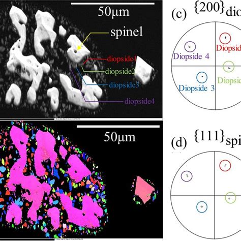 Ebsd Diagrams Of The Selected Zones A Sem Image B Download Scientific Diagram