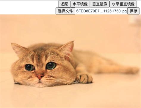 vue js 图片镜像 翻转 并保存 vue 刘宏缔的架构森林 博客园
