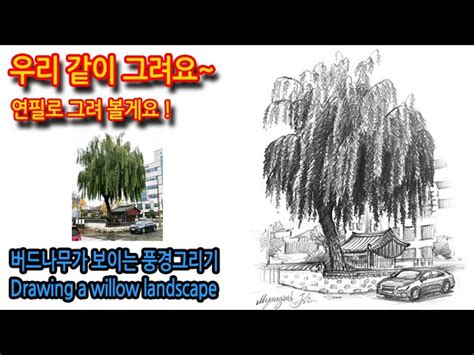 수양버들나무 그리기