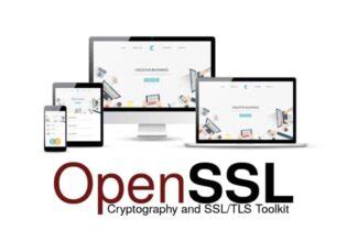 什么是 SSL 端口 完全指南 SSL Dragon