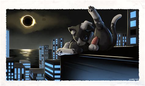 Rule 34 Animal Genitalia Animal Penis Black Body Black Fur Blue Eyes