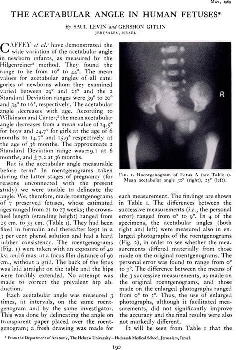 The Acetabular Angle In Human Fetuses Ajr