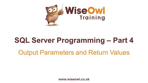 Sql Server Programming Part 4 Output Parameters And Return Values Youtube