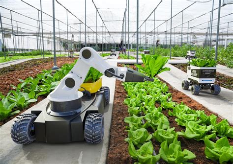 How Automation Is Being Used In The Farming Industry