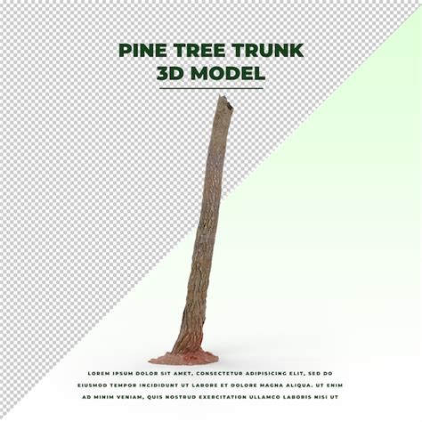 Premium Psd Pine Tree Trunk