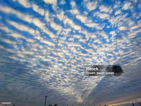Mackerel Sky Cirrocumulus Clouds Rare Type Of Cloud Natural Phenomenon