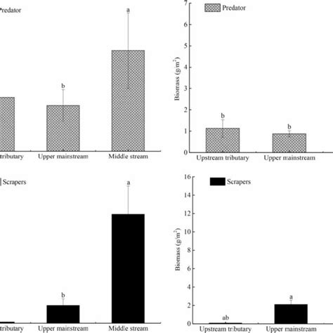Density And Biomass Of Different Ffgs Of Macrobenthos In Different Download Scientific